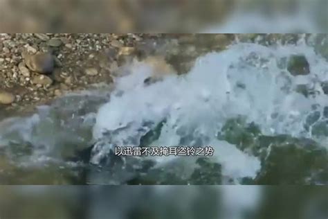 鲶鱼向全球入侵在欧洲体胖如猪为什么在我国活不过童年 入侵 欧洲 鲶鱼