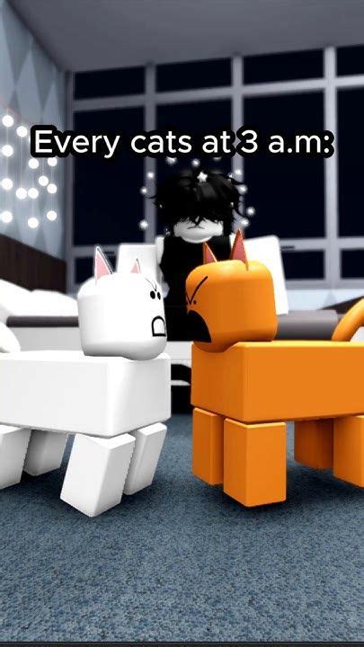 Every Cats At 3am Roblox Animation Recommended Roblox Shorts Fyp Funny Viral Memes Cat Every Cats At 3am Roblox Animation Recommended Roblox Shorts Fyp Funny Viral Memes Cat