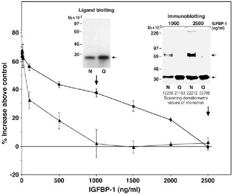 35 S Methionine Incorporation Into Psmc Protein Synthesis Was