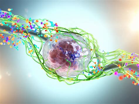 胰腺导管腺癌术后消化差？ 胰腺导管腺癌 胰腺癌 肿瘤疾病大全癌症肿瘤科普知识 有来医生