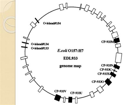 Brief Detail On Genetic Mapping Pptx