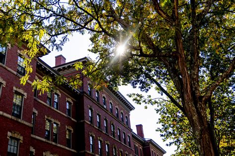 From Lab To Startup Harvard Research Team Pioneers Cell Therapy At