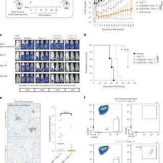 A Highly Efficient Transgene Knock In Technology In Clinically Relevant