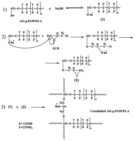 Scheme 2 Crosslinking Of Ag G Pampaa Download Scientific Diagram