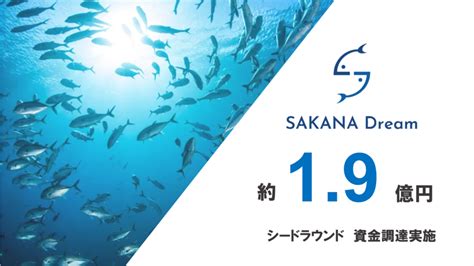 さかなドリーム、シードラウンドで約19億円の資金調達を実施 農林水産com