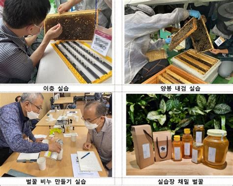 벌꿀로열젤리를 생산하는 양봉기술 전문가 교육 받아볼까