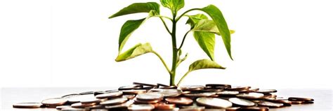 Reaching Eco Conscious Consumers In The Us Behavior Habits And Trends