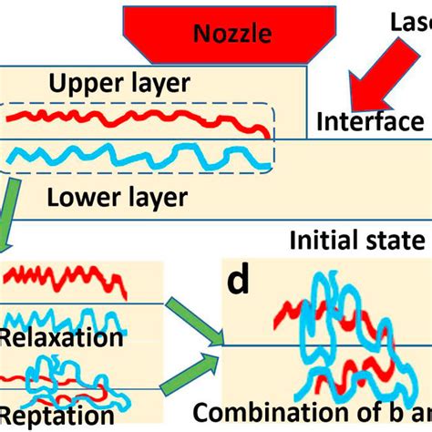 Schematic Diagram Of Reptation And Relaxationa Initial State Download Scientific Diagram