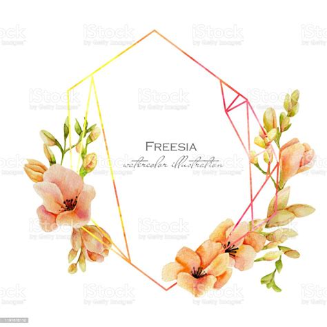 수채화 복숭아 Freesia 꽃 기하학적 세련된 프레임 흰색 배경에 그려진 손 인사말 카드 디자인 결혼식에 대한 스톡 벡터 아트