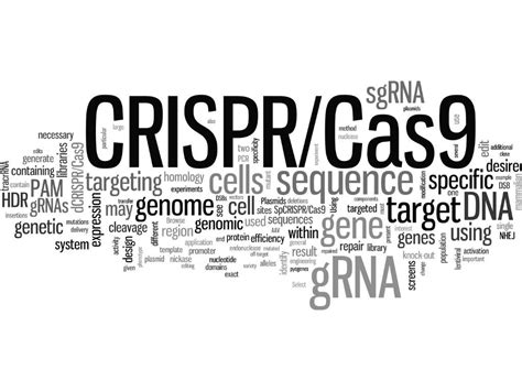 Crispr Genetic Editing The Revolutionary Gene Editing Technology