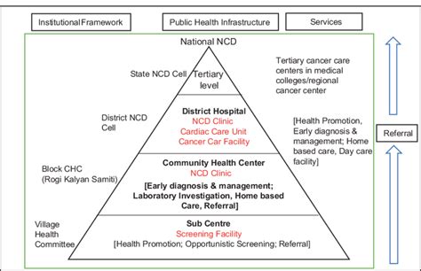 Institutional Framework And Service Delivery Under The Npcdcs Program