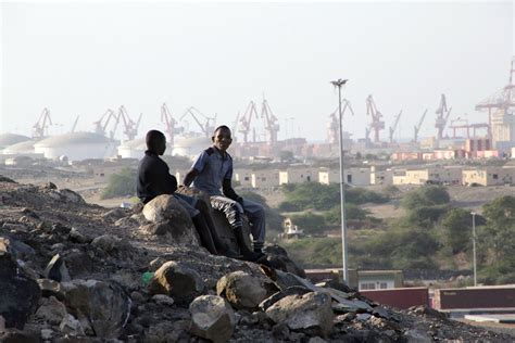 Super Mosquito Could Drive Malaria Surge Across Africas Megacities