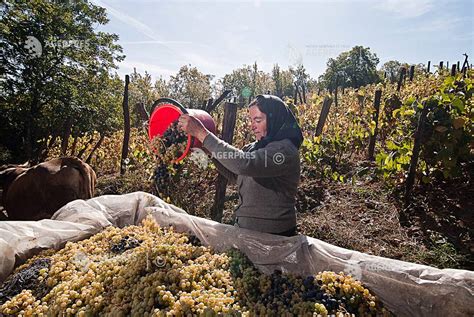 15 Octombrie Ziua Internaţională A Femeilor Din Mediul Rural Onu