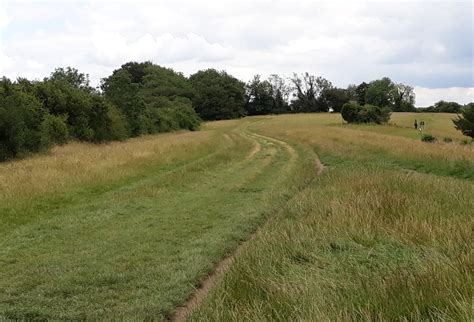 Surreys Ancient Grasslands Deserve Protection Uk