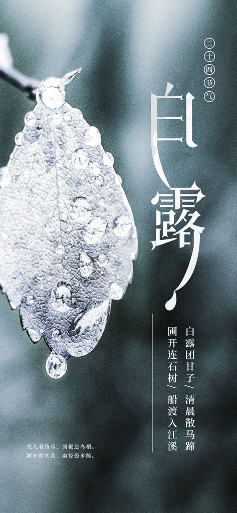 设计感节气海报素材 设计感节气海报图片 设计感节气海报模板 设图网