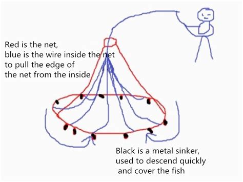 The Principle Of Cast Net Fishing