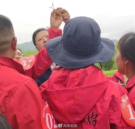 动作很快，姿势很帅，直击2023全国双手采茶比赛现场