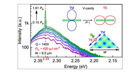 Single Mode Surface Emitting Polariton Lasing With Switchable Polarization In A Cspbbr3