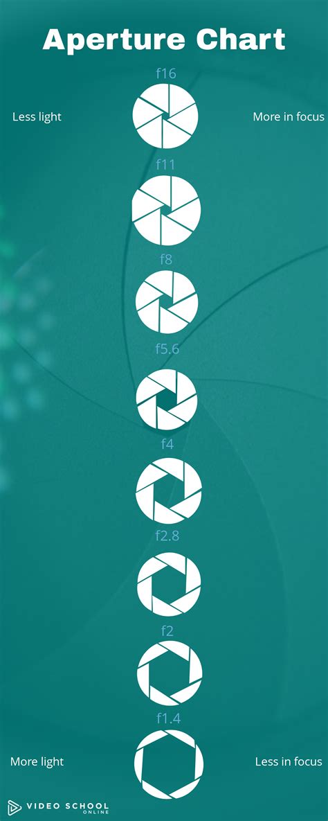 This Amazing Online Photography Course Is 95 Off Right Now