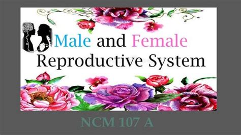 Human Reproduction Powerpoint Ppt Infertility Reproductive Health