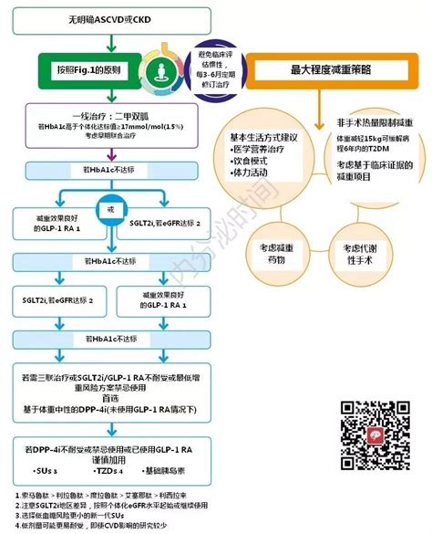 如何选择降糖药7 张图学会糖尿病管理 丁香园