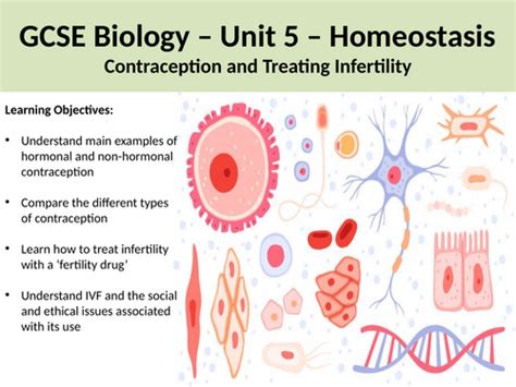 Gcse Biology Contraception And Treating Infertility Teaching Resources