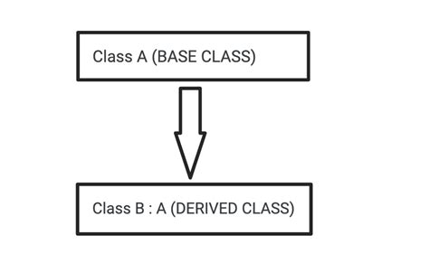 Types Of Inheritance In C The Following Are The Types Of By
