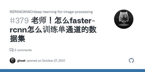 老师怎么faster rcnn怎么训练单通道的数据集 Issue WZMIAOMIAO deep learning for image processing GitHub