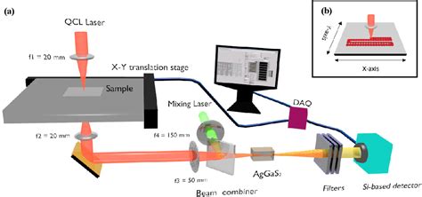 Figure 1 From Upconversion Raster Scanning Microscope For Long