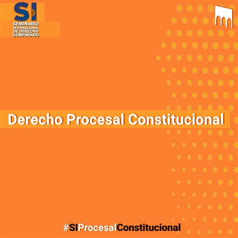 Seminario Internacional De Derecho Procesal Constitucional Universitas