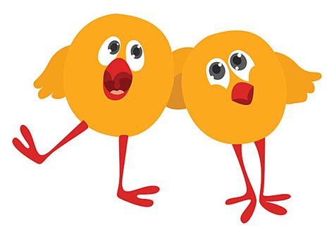 Chicken Vector Illustration Set Chicken Character Vector Set Chicken