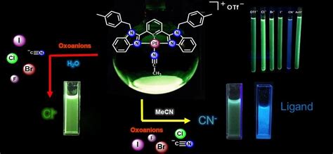 Cationic Ncn Platinumii Pincer Complex As An Efficient Luminescent