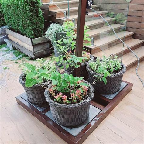 Плетеные кашпо из искусственного ротанга уличные статья мастерской Марко