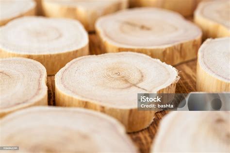 주 니 퍼 우드의 단면 질감 나무 밑둥 배경의 패턴입니다 주 니 퍼의 서클 슬라이스 톱에 대한 스톡 사진 및 기타 이미지 톱