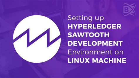 Hyperledger Sawtooth Blockchain Step By Step Installation On Linux