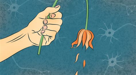 Hitting A Nerve Nerve Damage From Cancer Treatment Can Impair Sexual Function