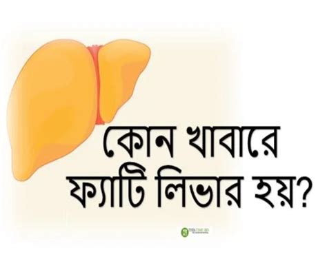 কোন ৭ খাবারে ফ্যাটি লিভার হয় Which Foods Have Fatty Liver