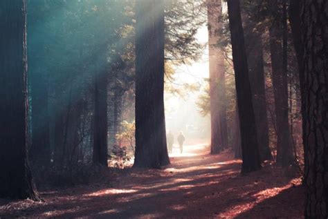 我们也有python学习互助群啦！ Python 实用宝典