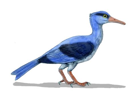 Longipteryx Dinopedia Fandom Powered By Wikia