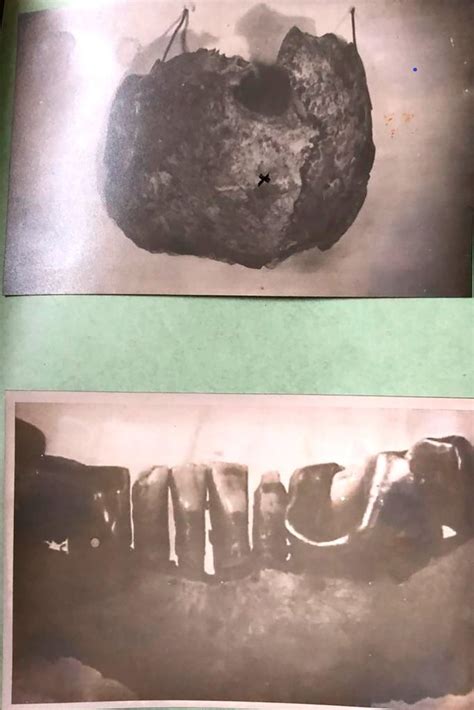 ¿vivió Hitler En La Argentina Las Más Increíbles Historias Sobre Su