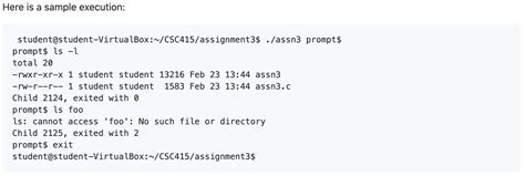 Solved In Our Slides We Talked About A Simple Shell For