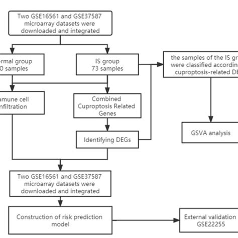 Figure Go And Kegg Pathway Enrichment Analysis Of Cuproptosis Related