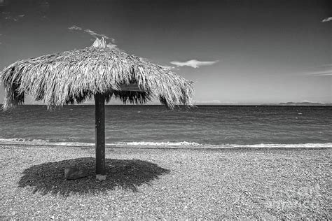 Shade Photograph By Becqi Sherman Fine Art America