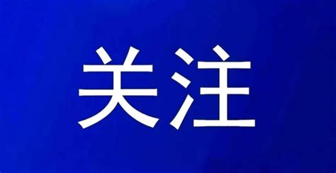 虞爱华现场调度安徽（合肥）创新法务区建设腾讯新闻