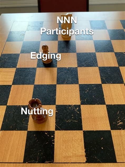 Chess Meme R Nonutnovember