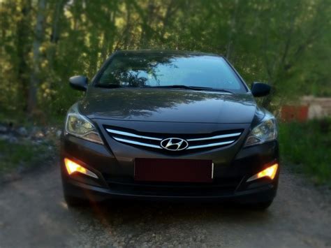 Рыжики в ДХО — Hyundai Solaris (1G), 1,6 л, 2015 года | просто так | DRIVE2