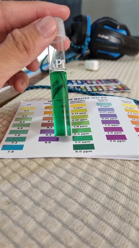 Color Indentification R Aquariums