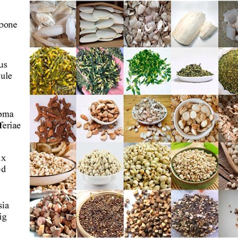 performance comparison of resnet50 and efficientnetb4 download