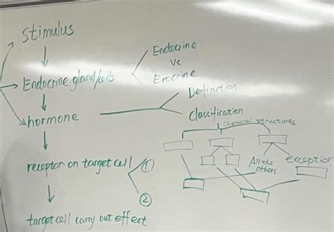 Draw A Concept Mapping To Summarize The Key Concepts Chegg