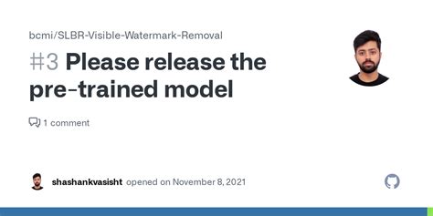 Please Release The Pre Trained Model Issue Bcmi Slbr Visible